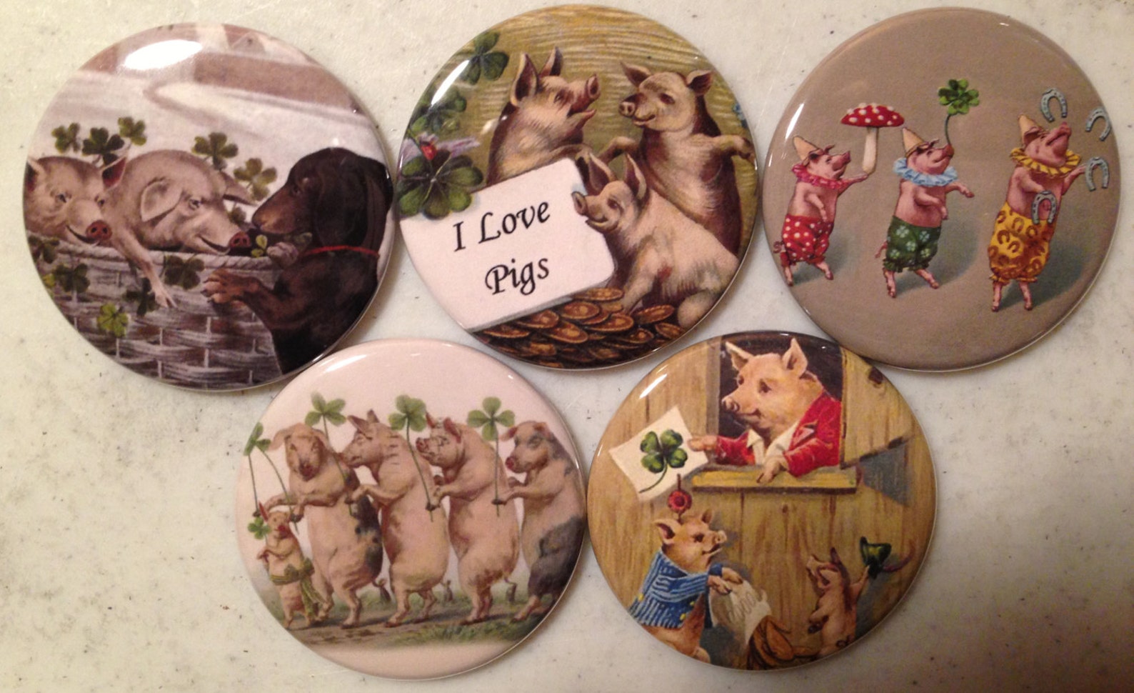 5 Pig Fridge magnets or pinbacks SET 3 w/Vintage pictures | Etsy