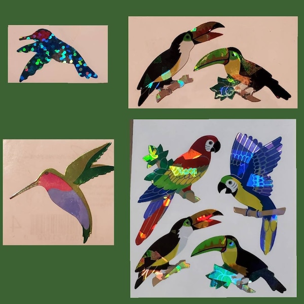 Funny Toucan Sticker - Etsy