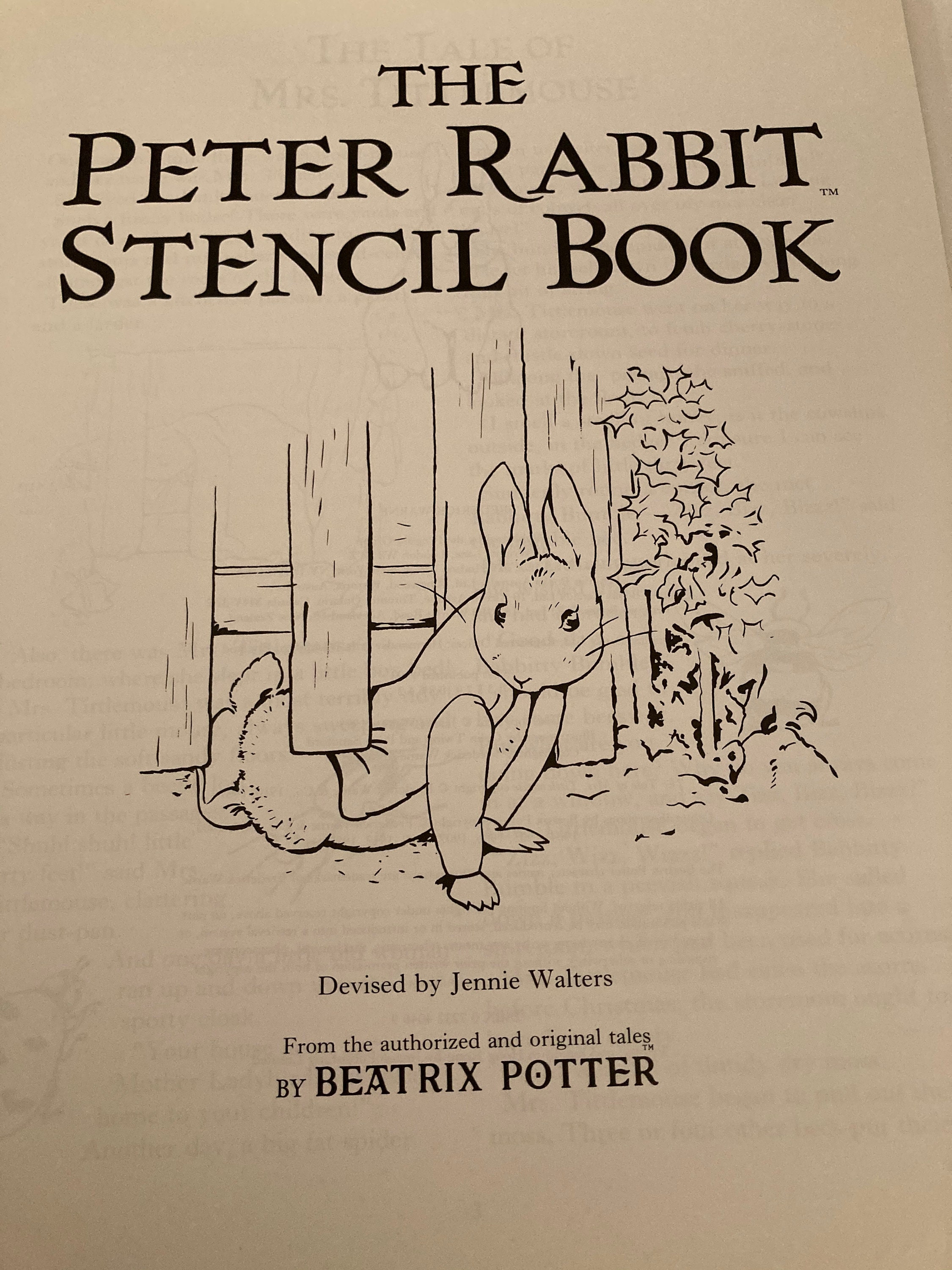 The Peter Rabbit Stencil Book 1993 - Etsy