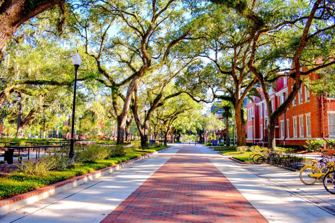 University of Florida Canopy Row Bikes Gainesville College Graduation ...