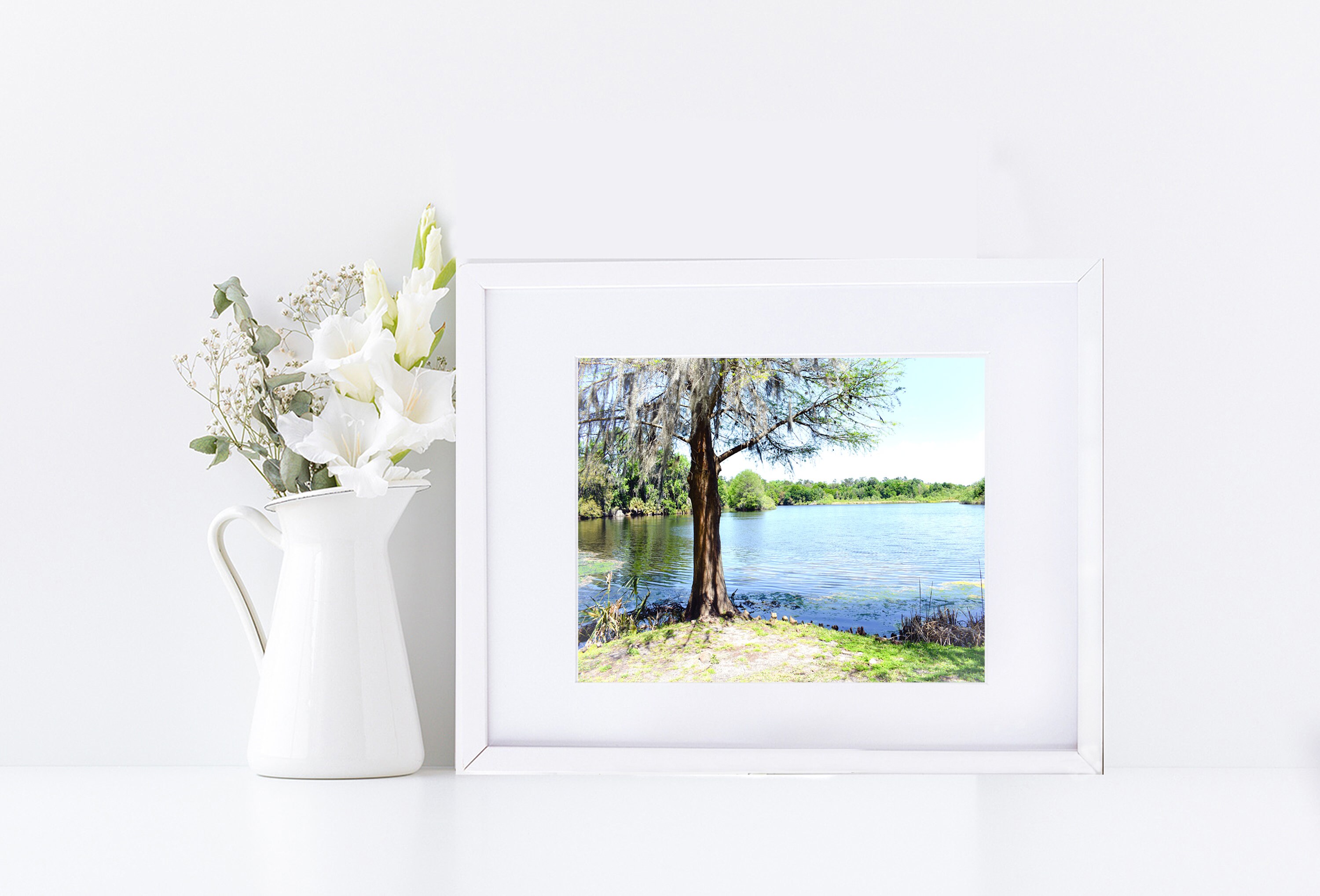 University of Florida Lake Alice UF Gator Campus Gainesville College ...