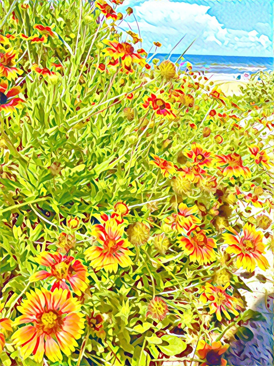 Beach Daisies on Dune Ormond-by-the-sea Florida Nautical Wall Photo Art ...
