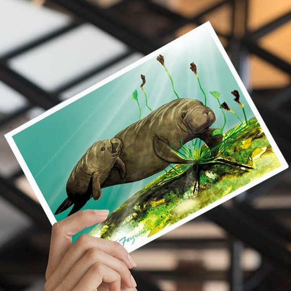 Manatee Watercolor - Etsy
