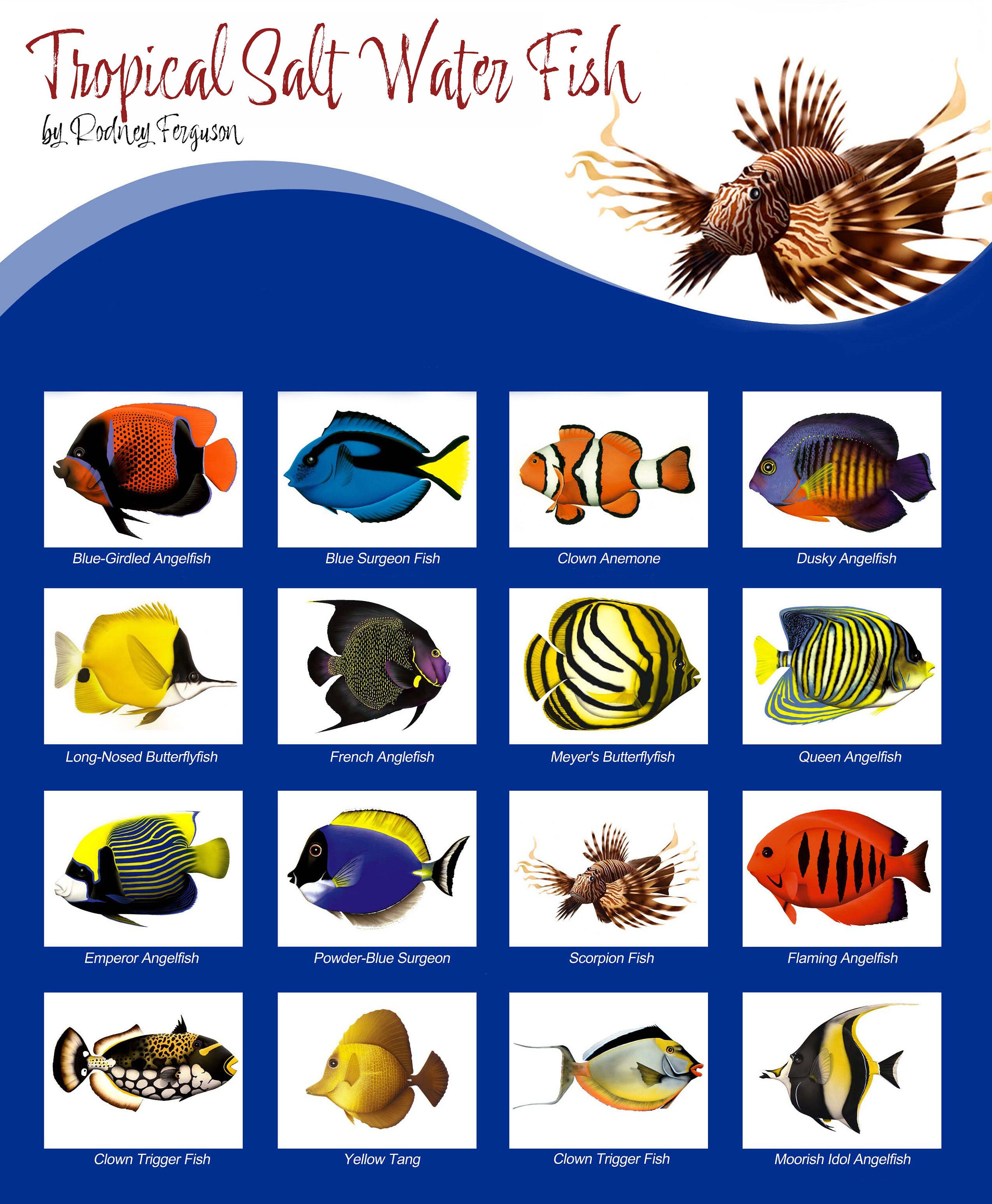 Fire Island Art Print for Wall Decor for Lighthouse Lover of Fire ...