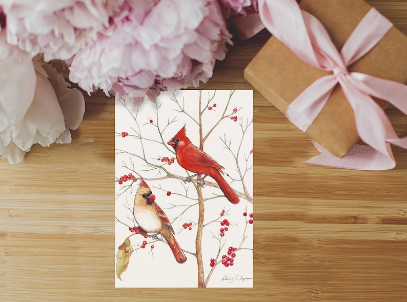 Cardinal Note Card Set of Male an Female Cardinal Christmas Gift Pack ...
