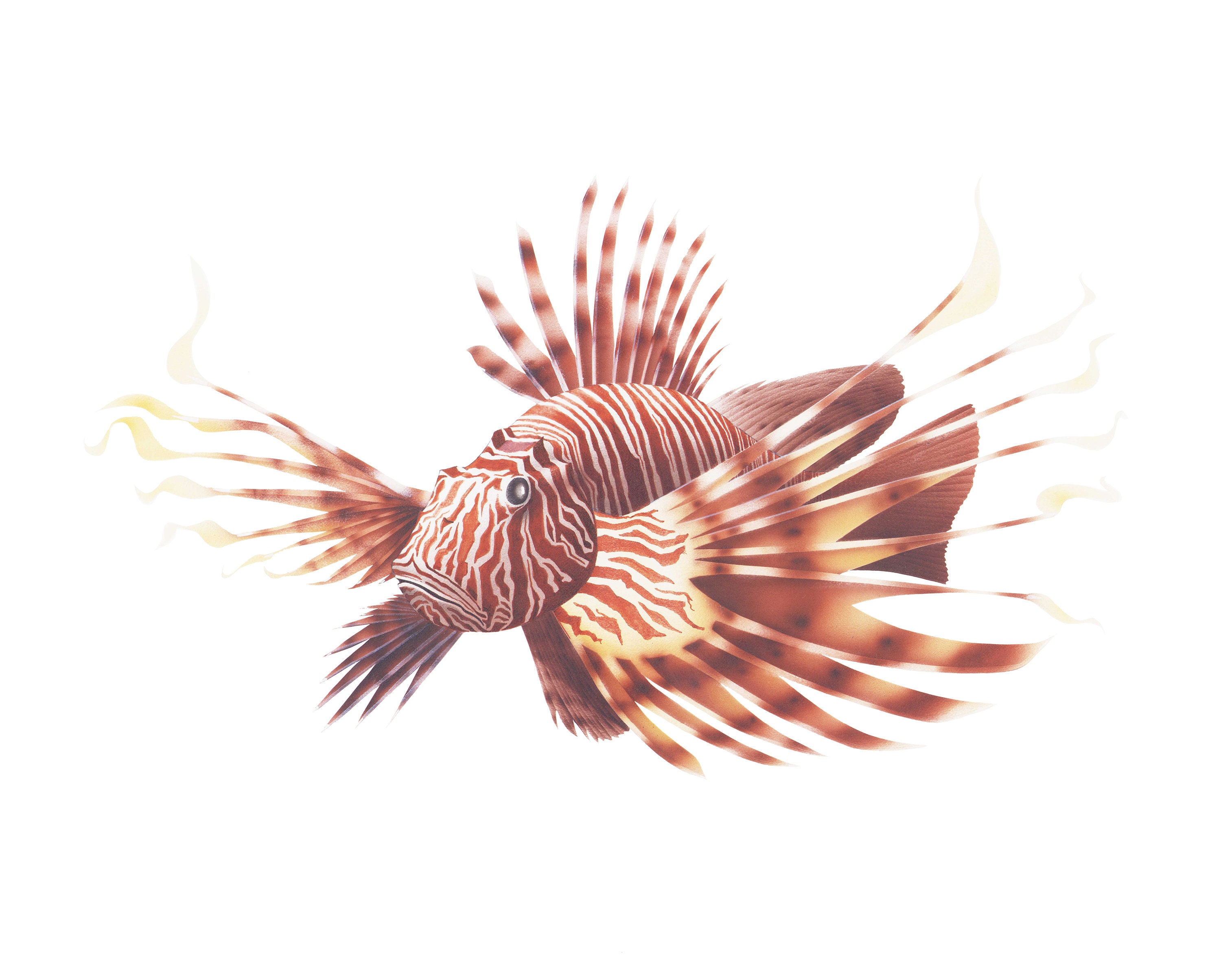 Scorpion Fish Print for Christmas Wall Decor Saltwater Aquarium ...