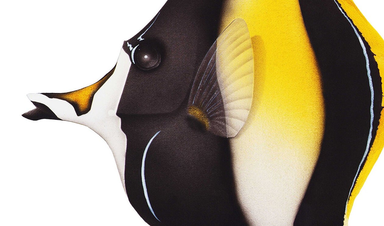 Moorish Idol Fish Print for Wall Decor Saltwater Aquarium Fish Art ...