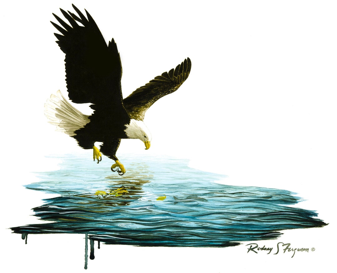 Bald Eagle Art Print Gift of Unique Watercolor Print Gift for Bird ...