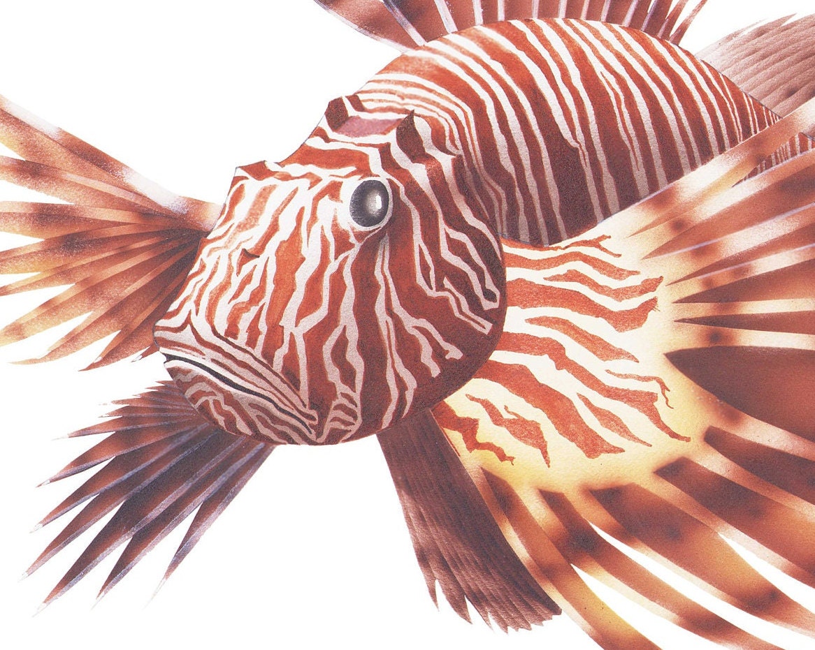 Scorpion Fish Print for Christmas Wall Decor Saltwater Aquarium ...