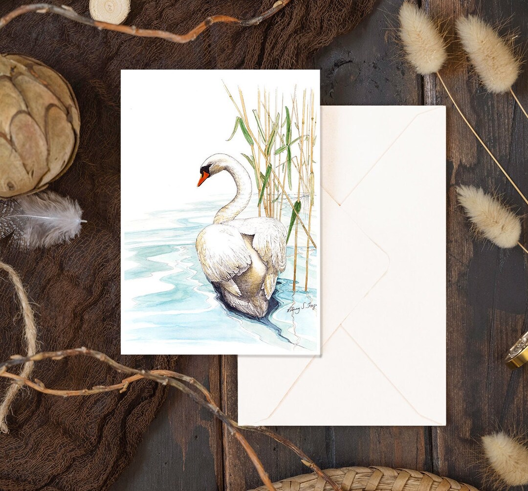 Swan Note Card Christmas Gift Set of Swan Notecards Original Watercolor ...