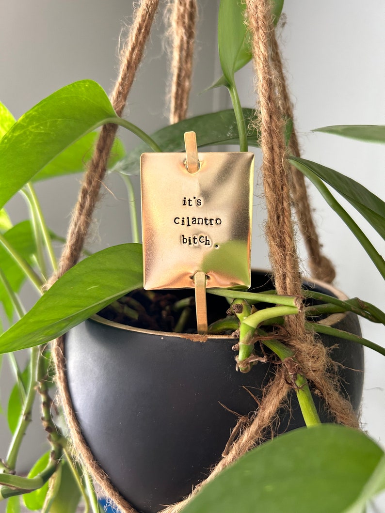 IT'S CILANTRO BITCH Plant Stake Plant Marker Funny - Etsy
