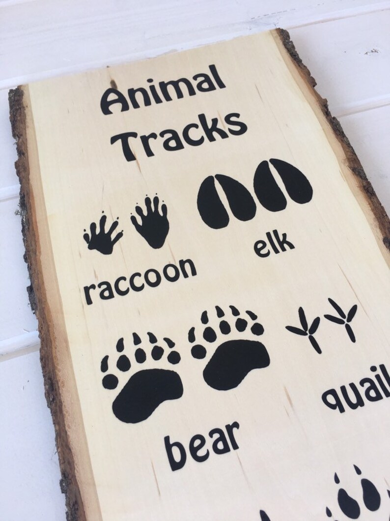 Animal Track Wood Sign: Woodland Nursery Sign Outdoor Nursery | Etsy