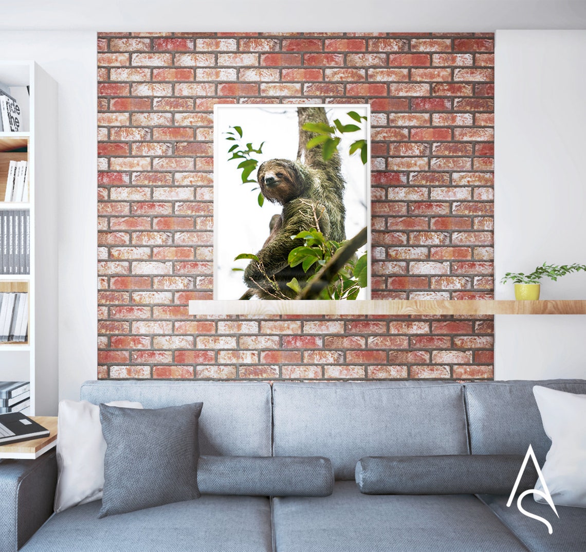 Sloth | Costa Rica Gift | Animal Lover Gift | Wild Animal | Photography ...