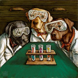Unframed Scientist Laboratory Labrador Retriever Wall Art of Yellow Lab ...
