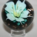 Blue Flower Marble - Etsy