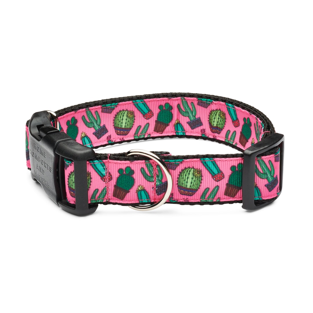 Funky Fun Hot Pink Saguaro Cactus Dog Collar With Tag Holder, Dog ...