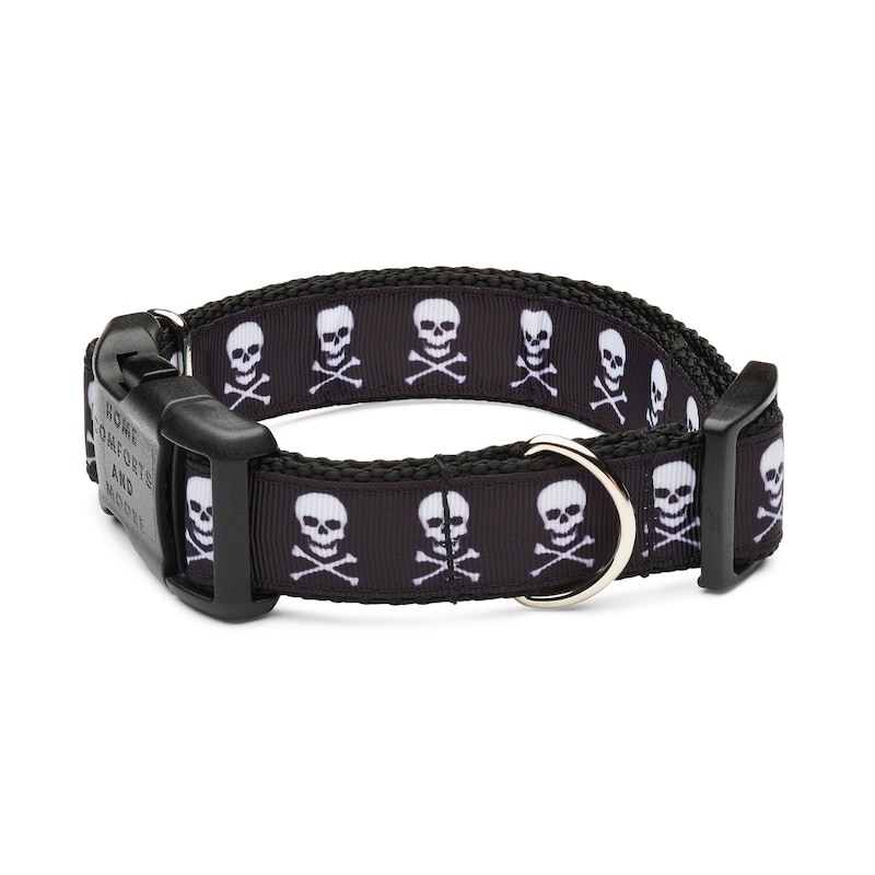 Skull Dog Collar - Etsy
