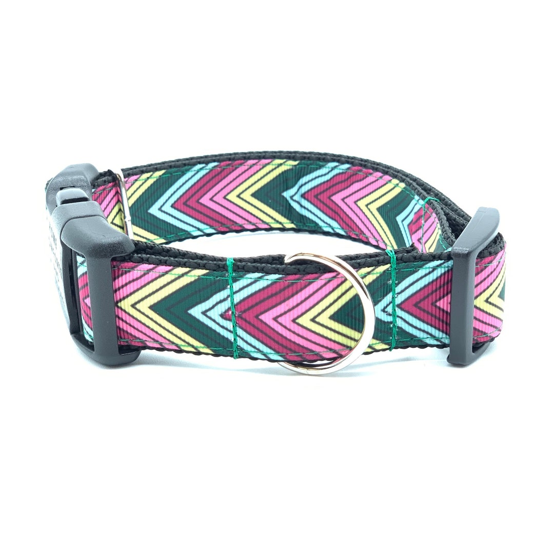 Mesmerizing Multicolored Chevron Dog Collar With Tag Holder, Dog Collar ...