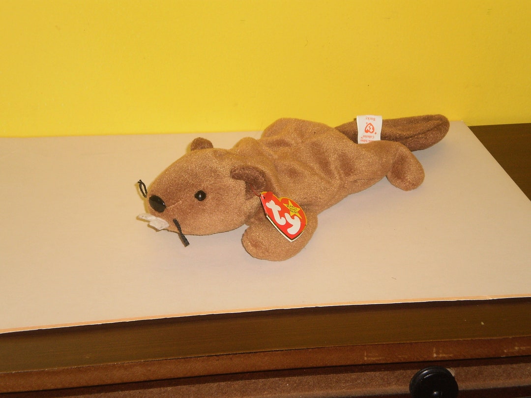 Ty Beanie Baby Bucky - Etsy