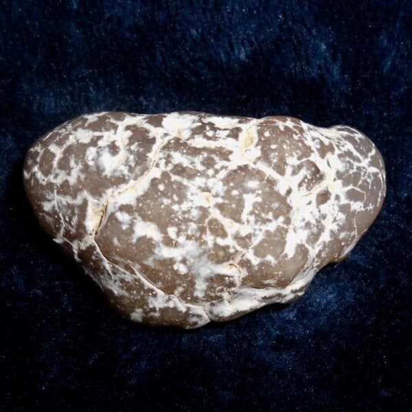 Snakeskin Agate - Etsy