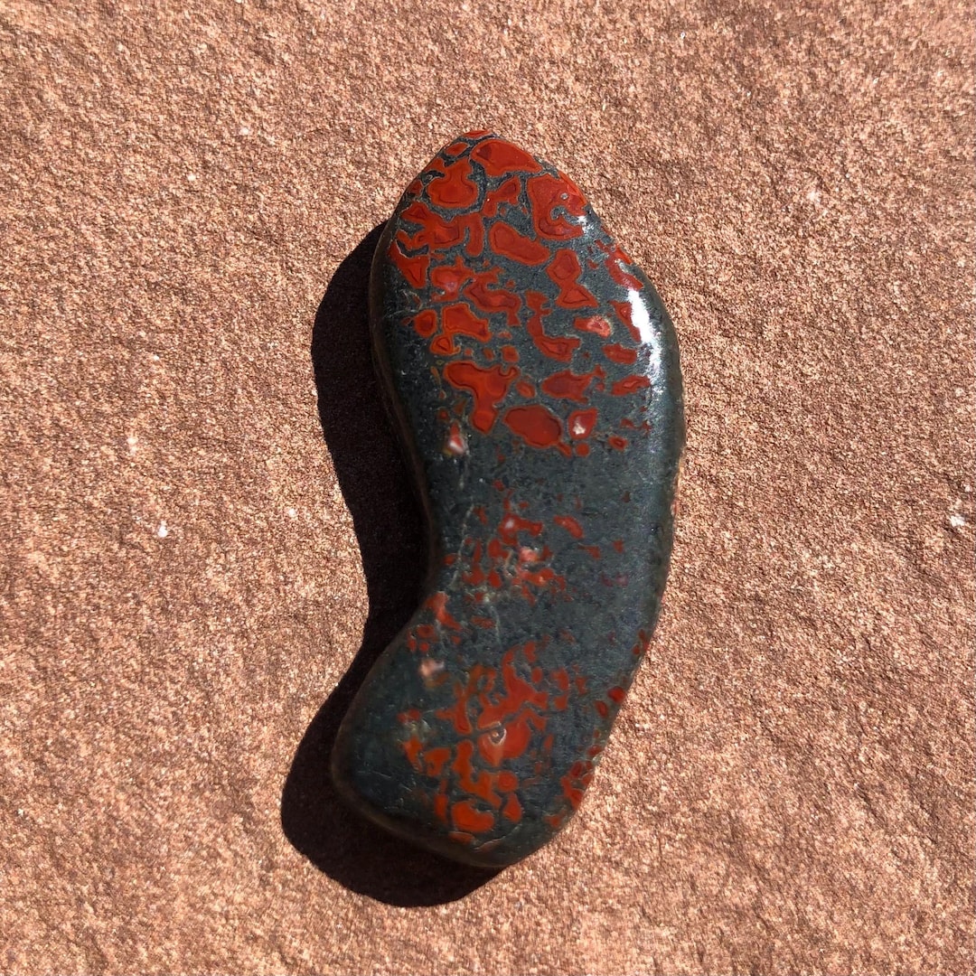 Fossil Gem DINOSAUR BONE Footprint Shape*red Jasper on Gray*31 Carats*6 ...