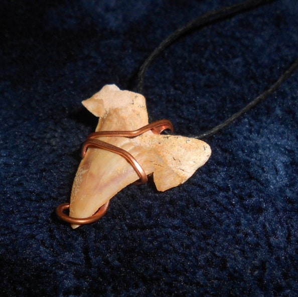 FOSSIL SHARK TOOTH Pendant in Copper Wire Wrapincludes 24 - Etsy