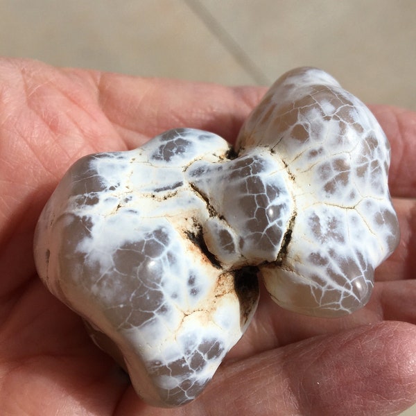 Snakeskin Agate - Etsy