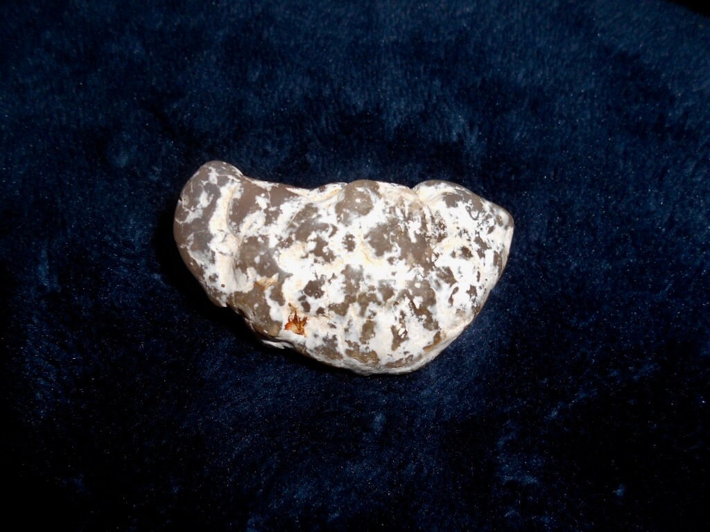 SNAKESKIN AGATE Nodule OREGON*2.03 Ounces*58.3 Grams*2 1/2 Inches X 1 1 ...