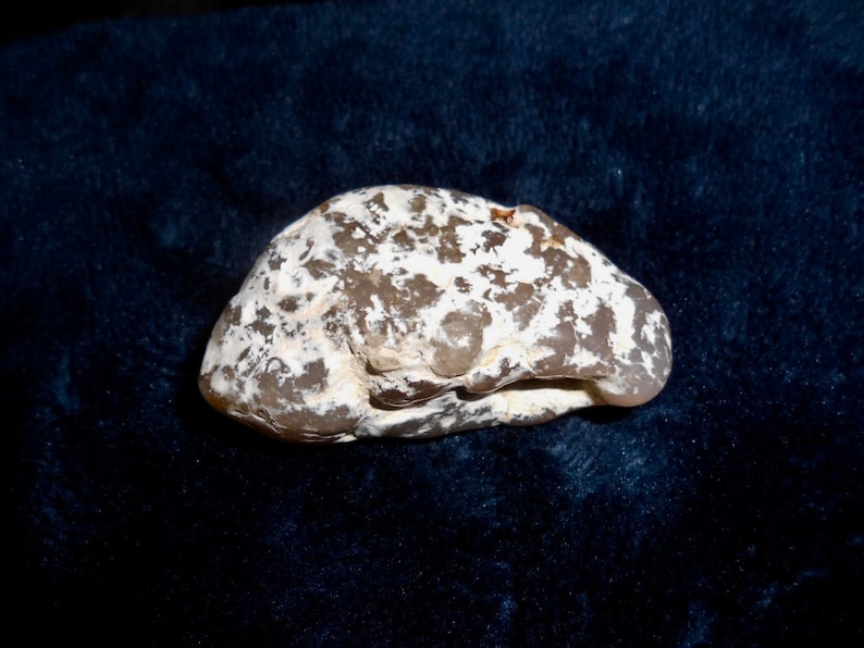 SNAKESKIN AGATE Nodule OREGON*2.03 Ounces*58.3 Grams*2 1/2 Inches X 1 1 ...