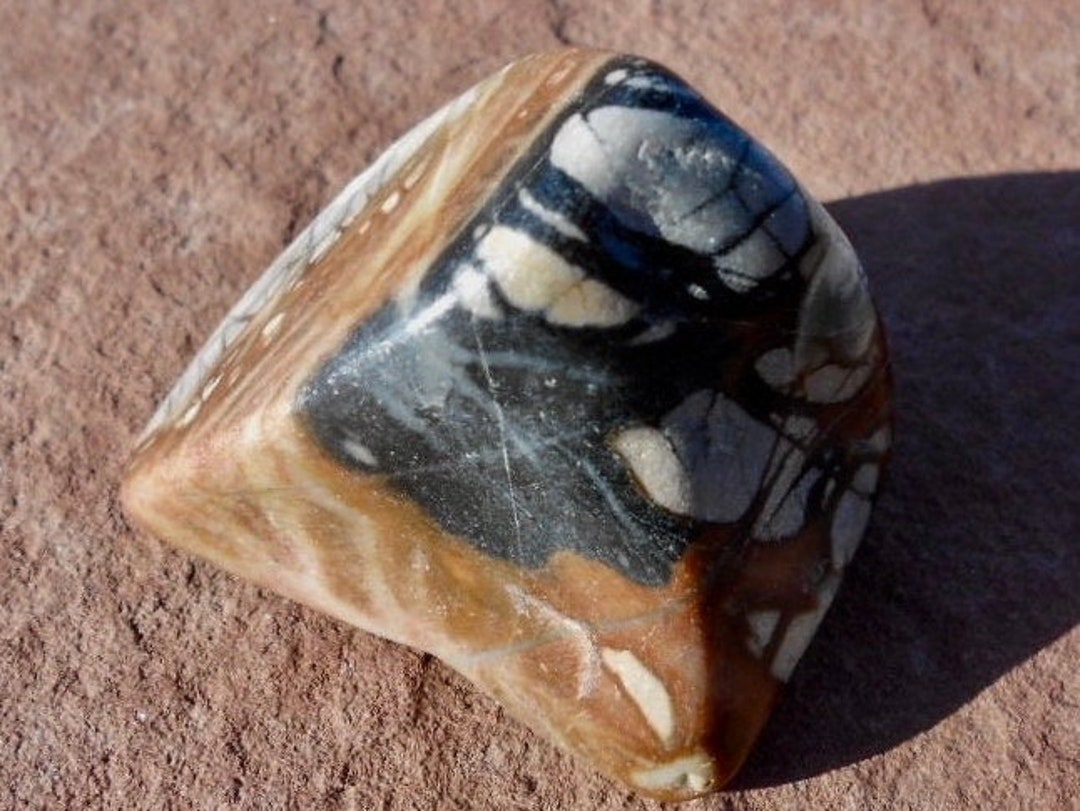 Scenic PICASSO MARBLE PICTURESTONE From Beaver County, Utah*50 Mm X 44 ...