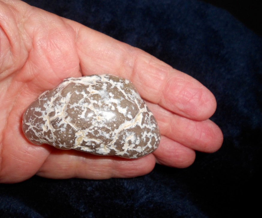 SNAKESKIN AGATE Nodule OREGON*2.03 Ounces*58.3 Grams*2 1/2 Inches X 1 1 ...
