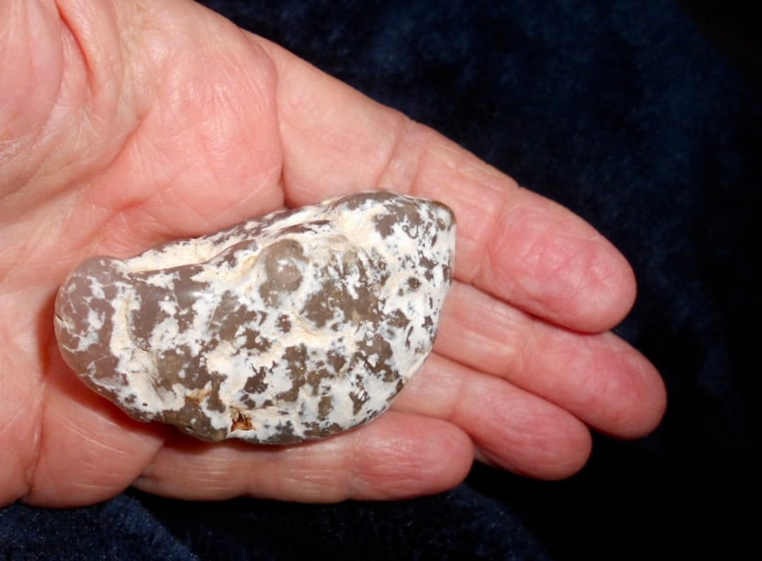 SNAKESKIN AGATE Nodule OREGON*2.03 Ounces*58.3 Grams*2 1/2 Inches X 1 1 ...