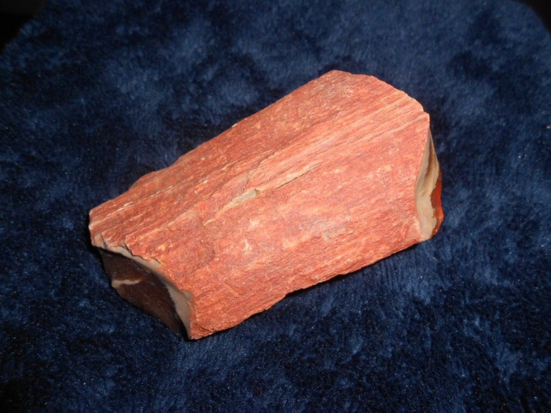 Fossil PETRIFIED WOOD LOG or Limb Cast From Oregon*88 Mm X 50*5.3 ...