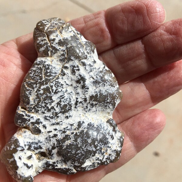 Snakeskin Agate - Etsy