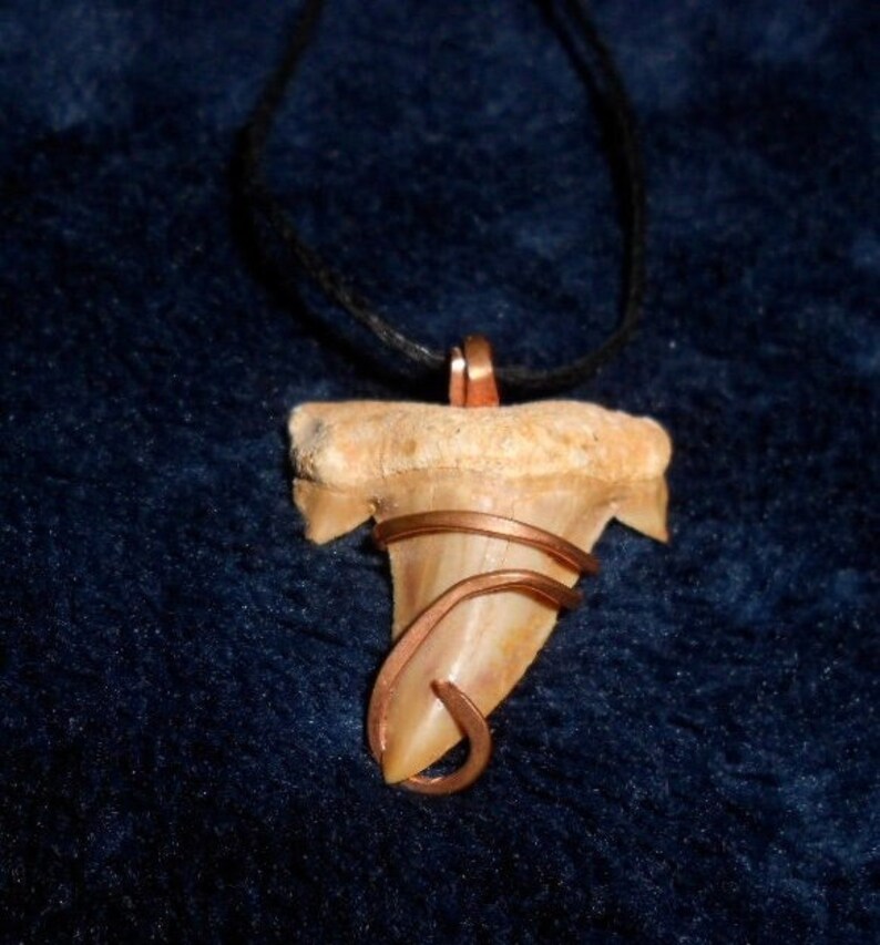 FOSSIL SHARK TOOTH Pendant in Copper Wire Wrapincludes 24 - Etsy