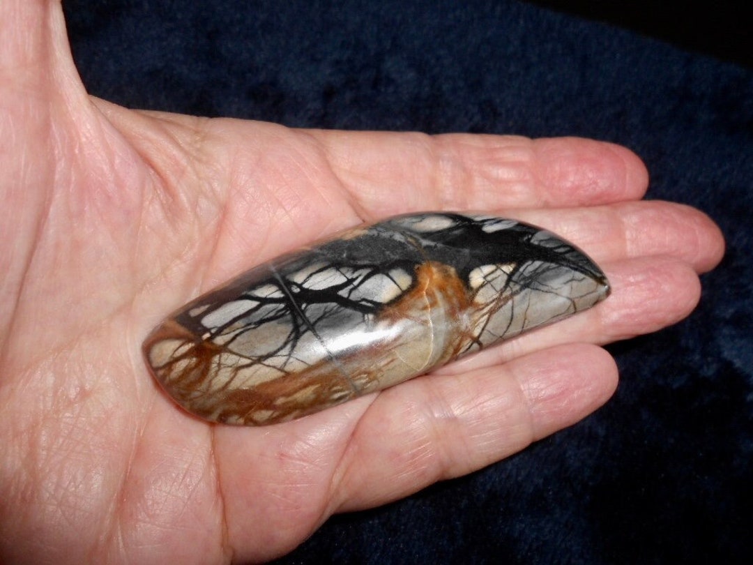 Extra Large PICASSO MARBLE Cabochon*beaver County, Utah*78 Mm X 28 X 6 ...