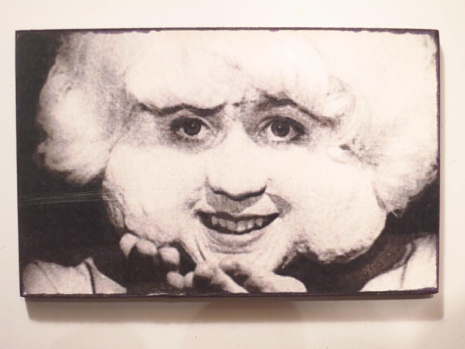 Lady In The Radiator Costume