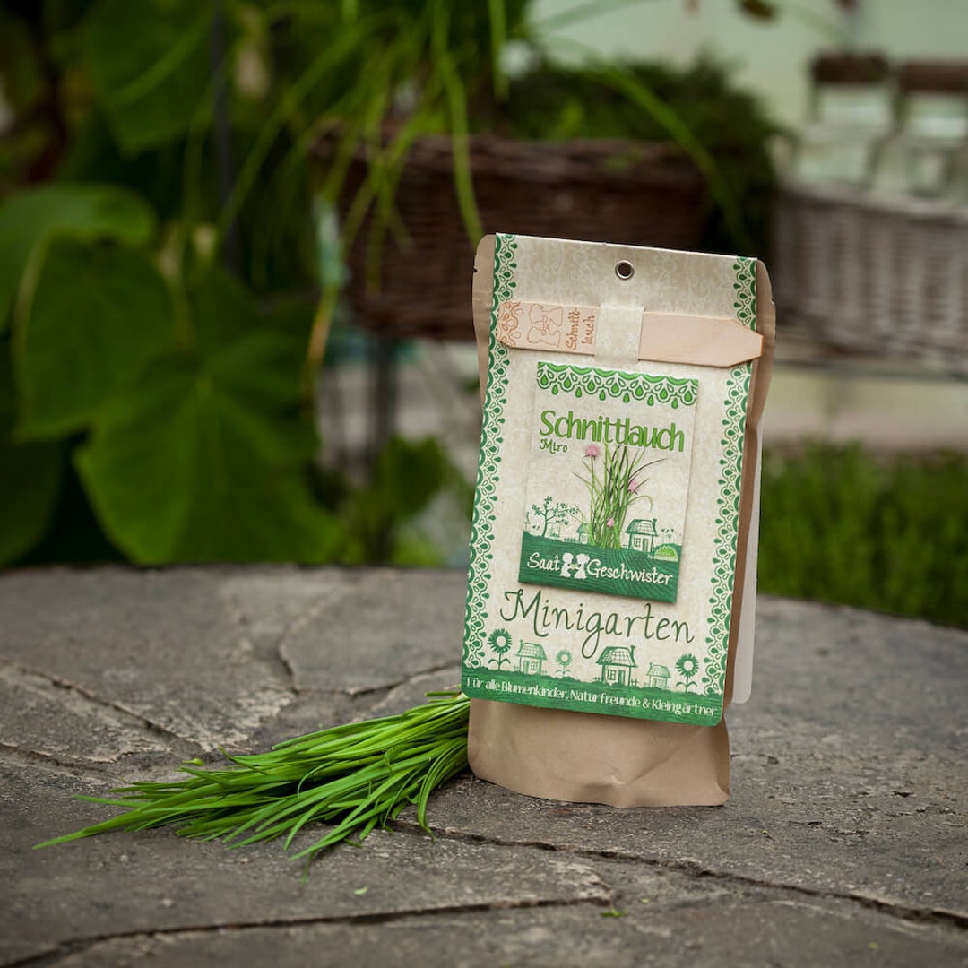 Mini Garden Chive miro Complete Growing Kit for Fresh Wild Chive ...