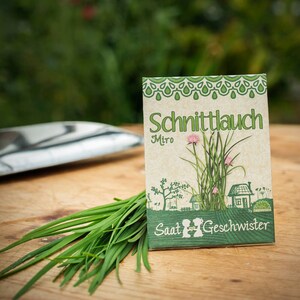 Mini Garden Chive miro Complete Growing Kit for Fresh Wild Chive ...