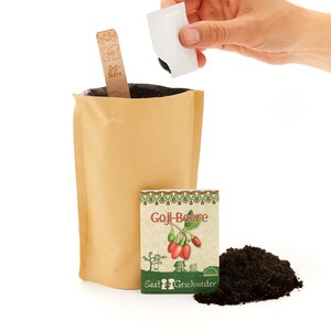 Mini Garden Goji-berry Complete Growing Kit for Tasty Goji Contains ...