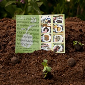 Seed Bomb Kit | Seed Bomb DIY Kit From Die Stadtgärtner | Contains ...