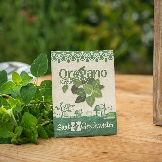 Oregano crete Seeds - Etsy