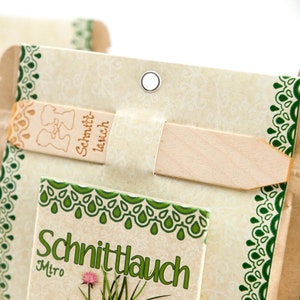 Mini Garden Chive miro Complete Growing Kit for Fresh Wild Chive ...