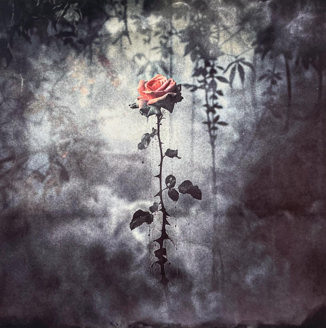 Floating Haunted Rose #1, Wall Art, AI Art, Digital Prints - Etsy