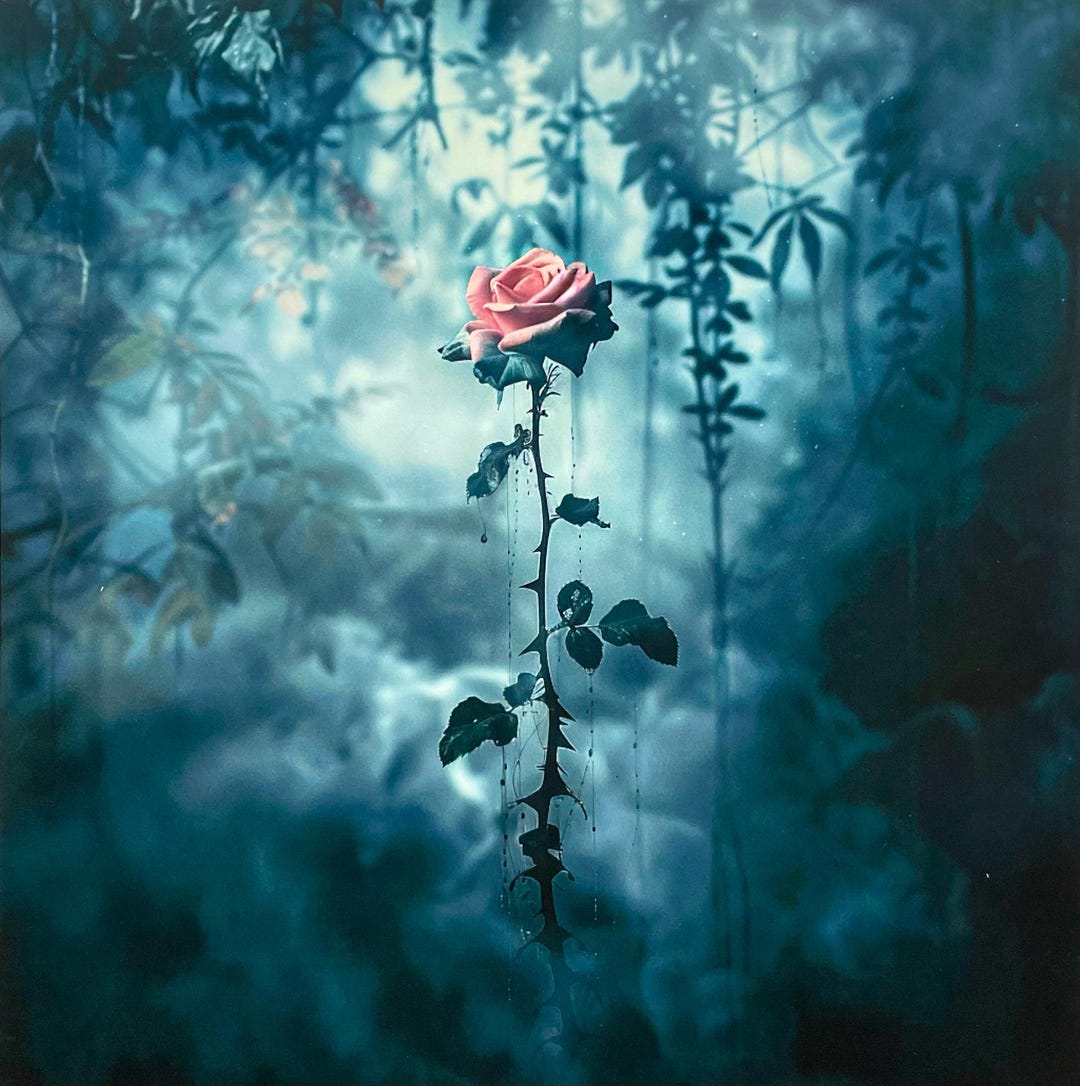 Floating Haunted Rose #2, Wall Art, AI Art, Digital Prints - Etsy