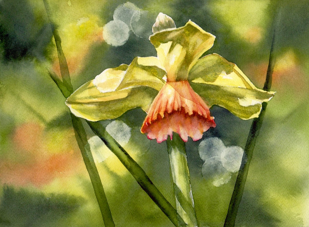 Realistic Yellow Daffodil Art PRINT, Decorative Spring Summer Flower ...