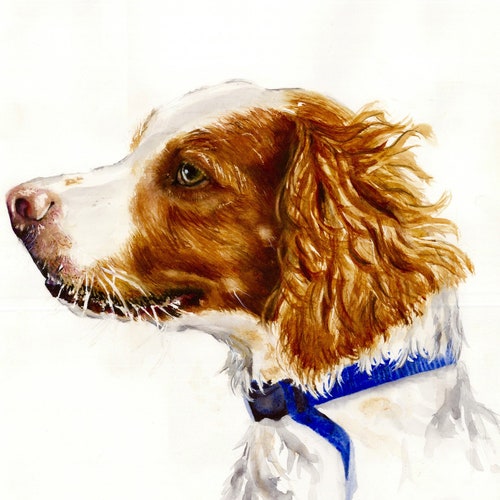 Brittany Spaniel Art Print Modern Dog Pop Art Bright Colors - Etsy