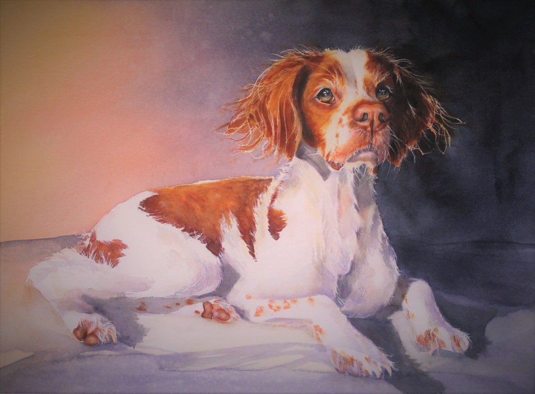 Brittany Spaniel Original Hunting Decortive Realistic Classic Colorful ...