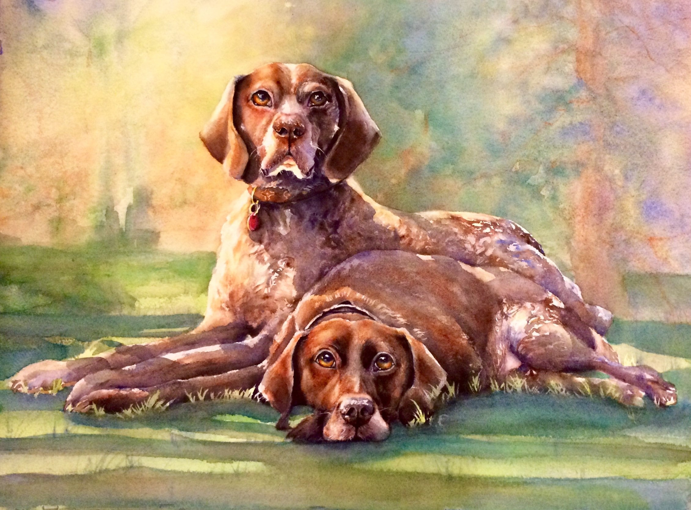 German Shorthair Pointer Giclee Print - Etsy