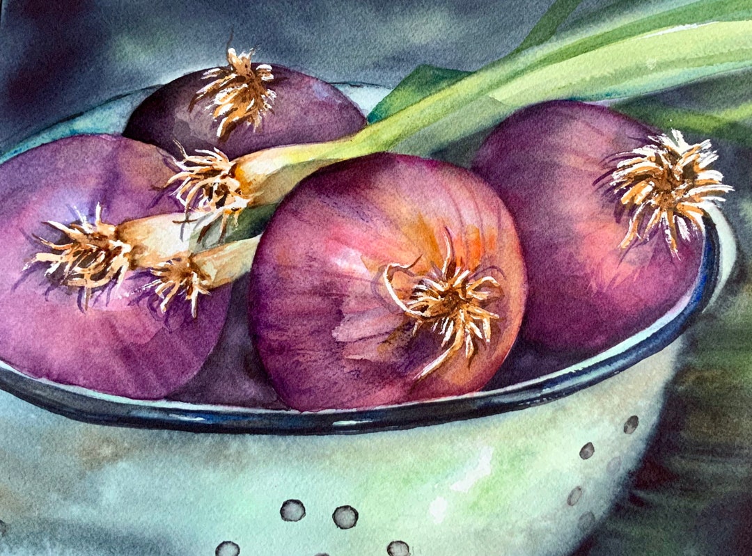 Red Onion Still Life Print - Etsy